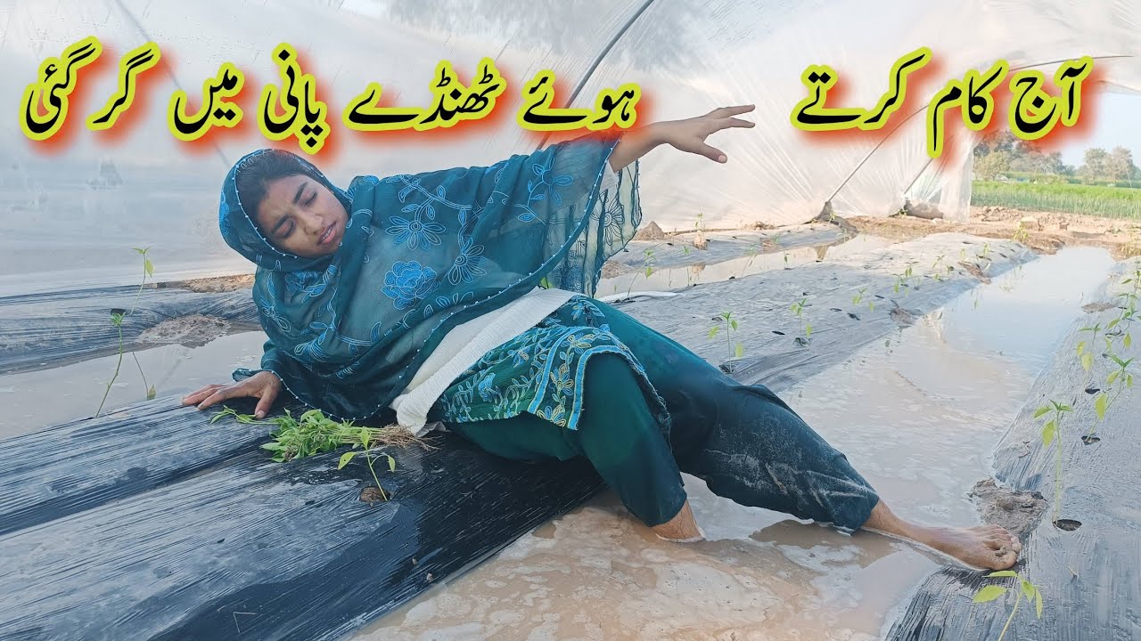Fell into cold water while working today / Pendu Punjabi Vloger ...