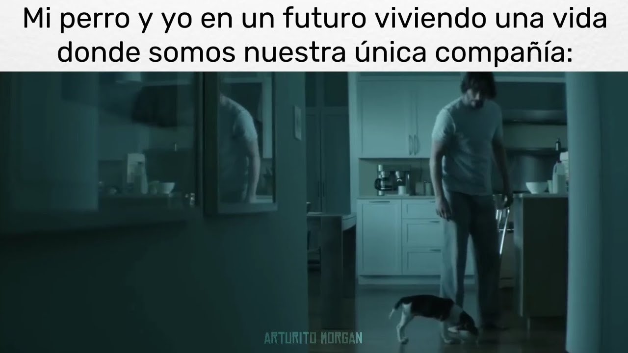 Mi perro y yo en un futuro: - YouTube