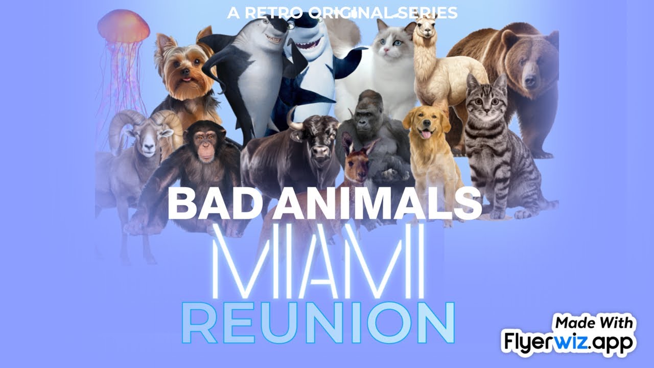 Bad Animals Miami Reunion TEASER - YouTube