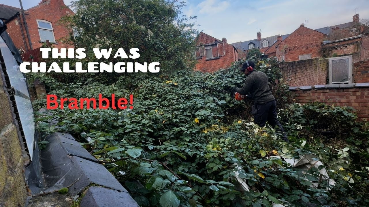 Bramble invasion! Another challenge accepted! Gardening || Landscaping - YouTube