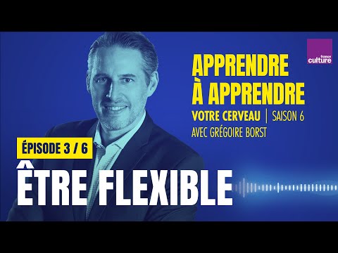 L'inhibition et la flexibilité (3/6) | Votre cerveau, saison 6