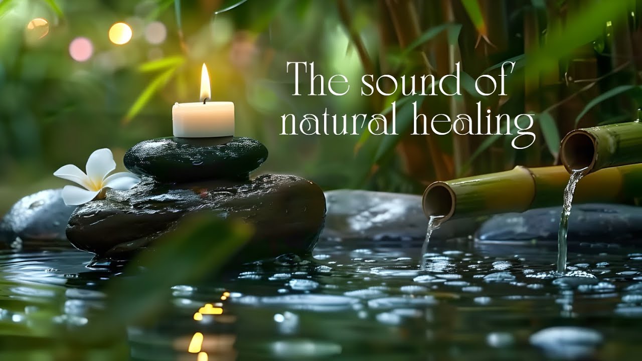 6H The sound of nature ASMR💧The sound of flowing water and birds in a ...