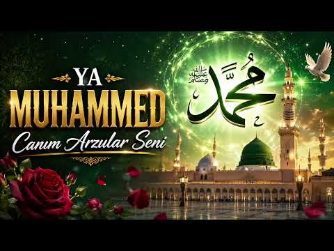 Ya MUHAMMED Canım Arzular Seni - TurkaAudio Official 