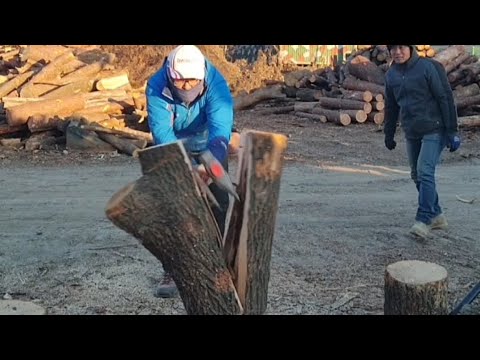 옹이가 있는 참나무 장작패기가 어려운 이유 The reason why it is difficult to cut oak wood ...