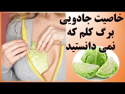 یک برگ کلم را زیر سوتین بگذارید تا سینه و پستان سالم داشته باشید