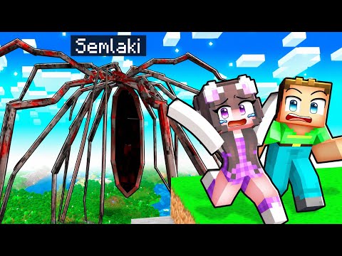 I added the GIANT SPIDER MONSTER to Minecraft!