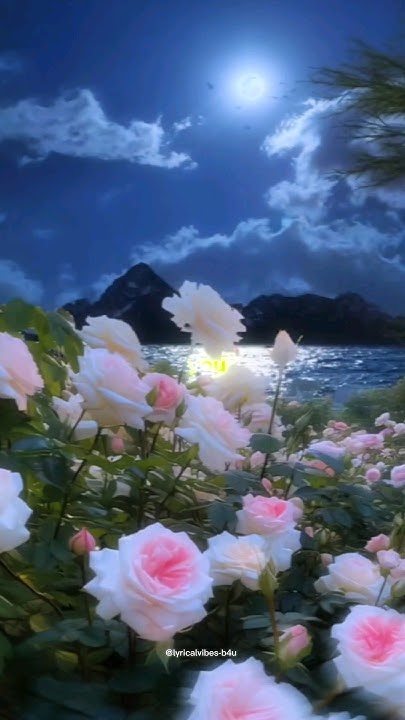 From The Islands - Jason Derulo, Frozy & Tomo (lyrics) |aesthetic ...