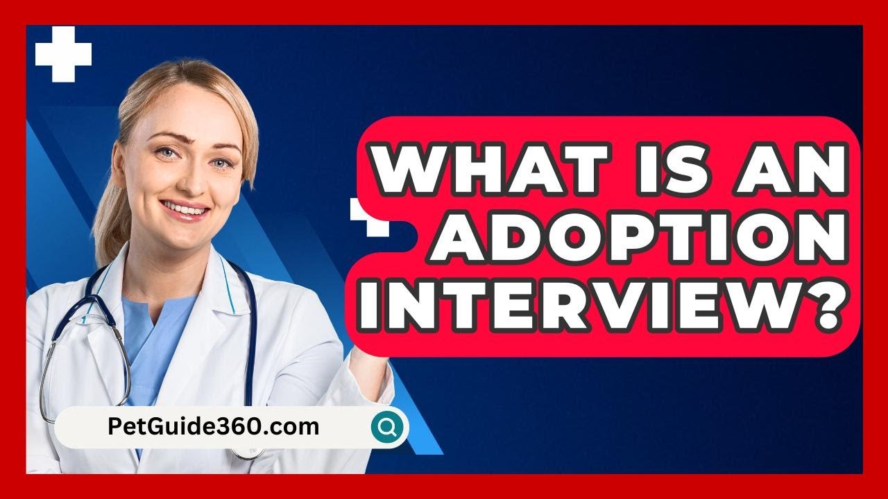 What Is An Adoption Interview? - PetGuide360.com - YouTube