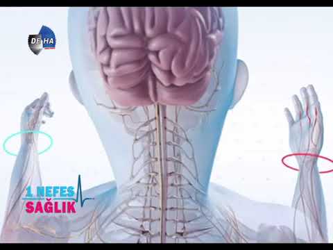 Kas Erimesi -  Uzm. Dr. Fatma Efendizade