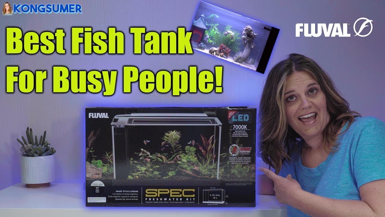 Best Silent Fish Tank for Busy People! Fluval Spec V Review Close Up in ...