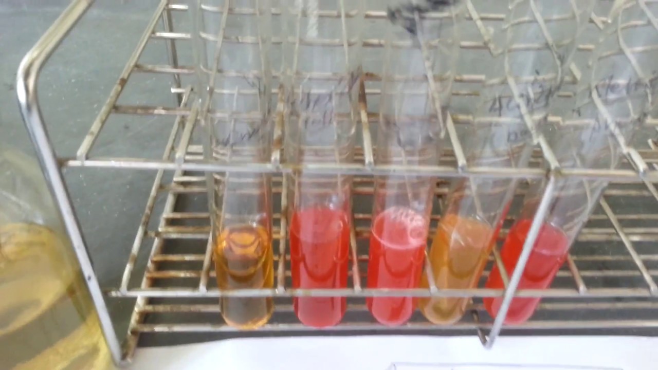 Nitrate Reduction Test/bacteria - YouTube