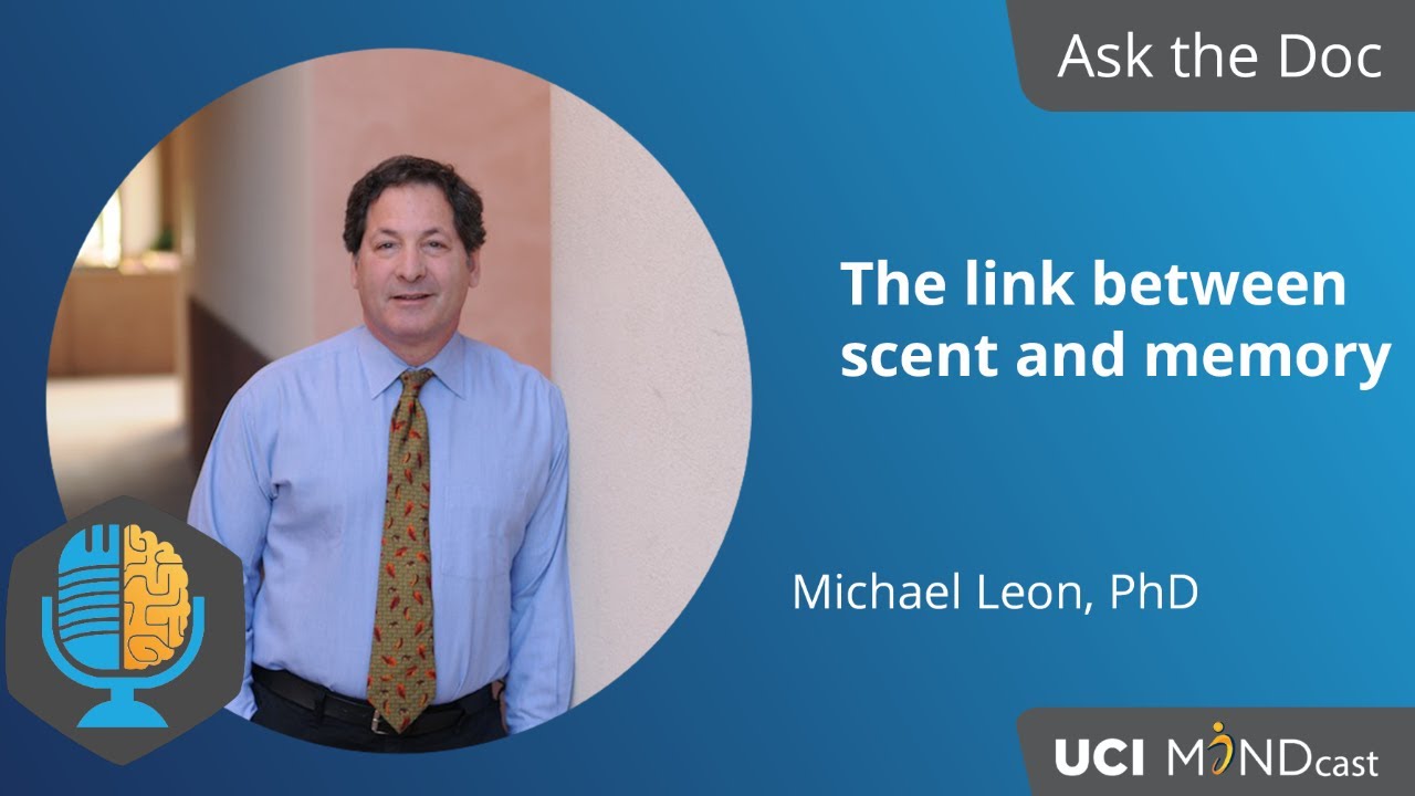 The link between scent and memory - YouTube