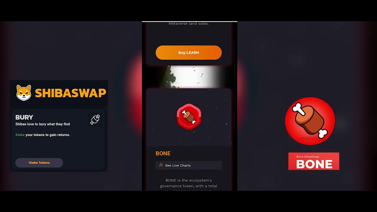 Stake Bone Tokens on Shibaswap - YouTube