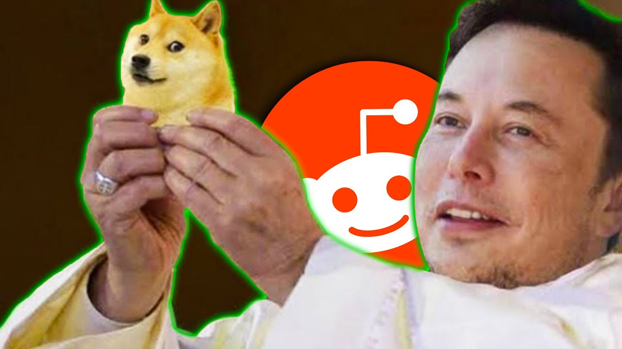 POGGODOGGO DIVENTA UN POKEMON!? QUESTI MEME SONO ASSURDI! - YouTube