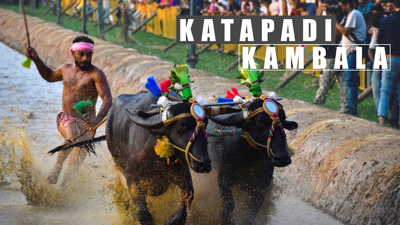 Katapadi Kambala 2023 - YouTube