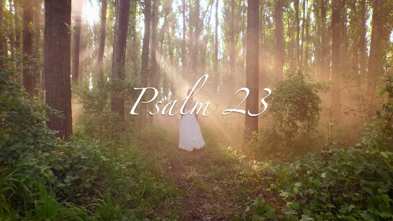 Psalm 23 (Lyric Video) | Lize Hadassah Wiid | Return to Me - YouTube