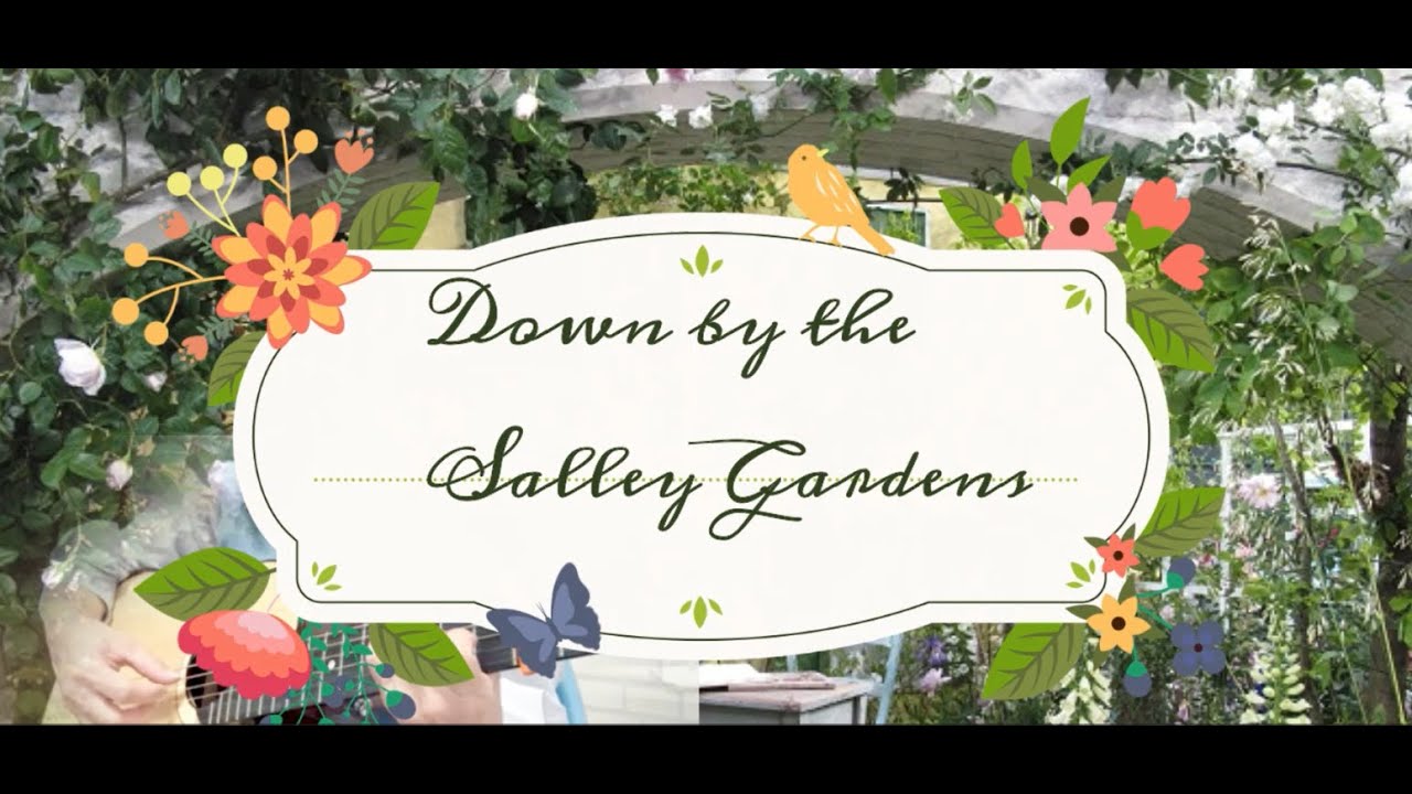down the by Sally Garden/サリーガーデン/ソロギター - YouTube