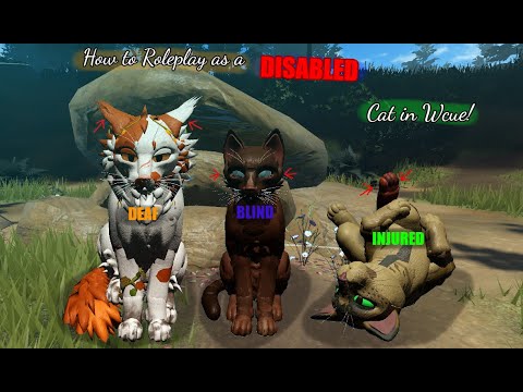 How to RP as a Disabled Warrior in WCUE! - YouTube