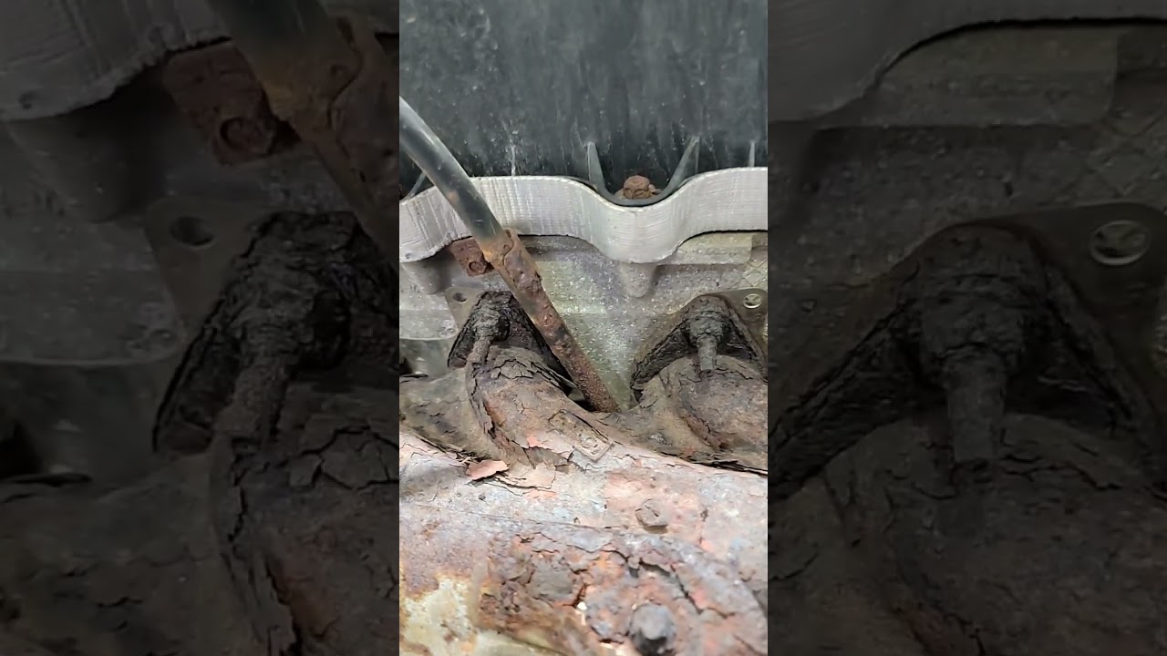 fully RUSTED OUT 2019 DOES - your NEW Ford look like this??? #shorts # ...