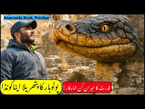 Mysterious Anaconda Rock Found in Chakwal’s Dry Ravine | Chakwal’s ...