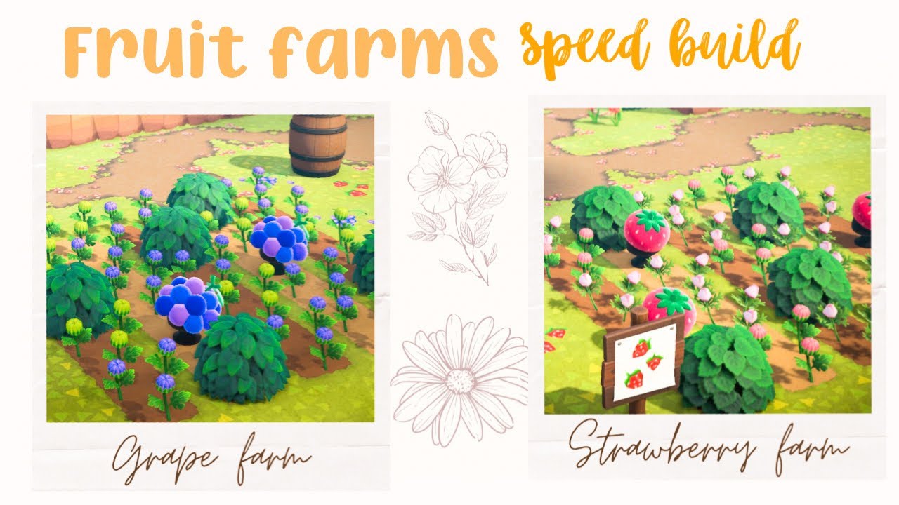 GRAPE + STRAWBERRY FARM SPEED BUILD ~ ACNH // ANIMAL CROSSING NEW ...