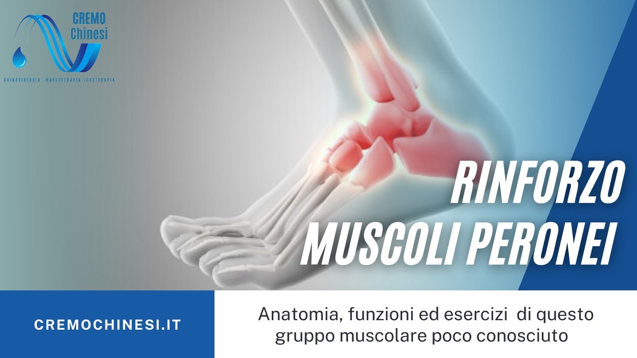 MUSCOLI PERONEI: Anatomia, funzioni ed esercizi - YouTube