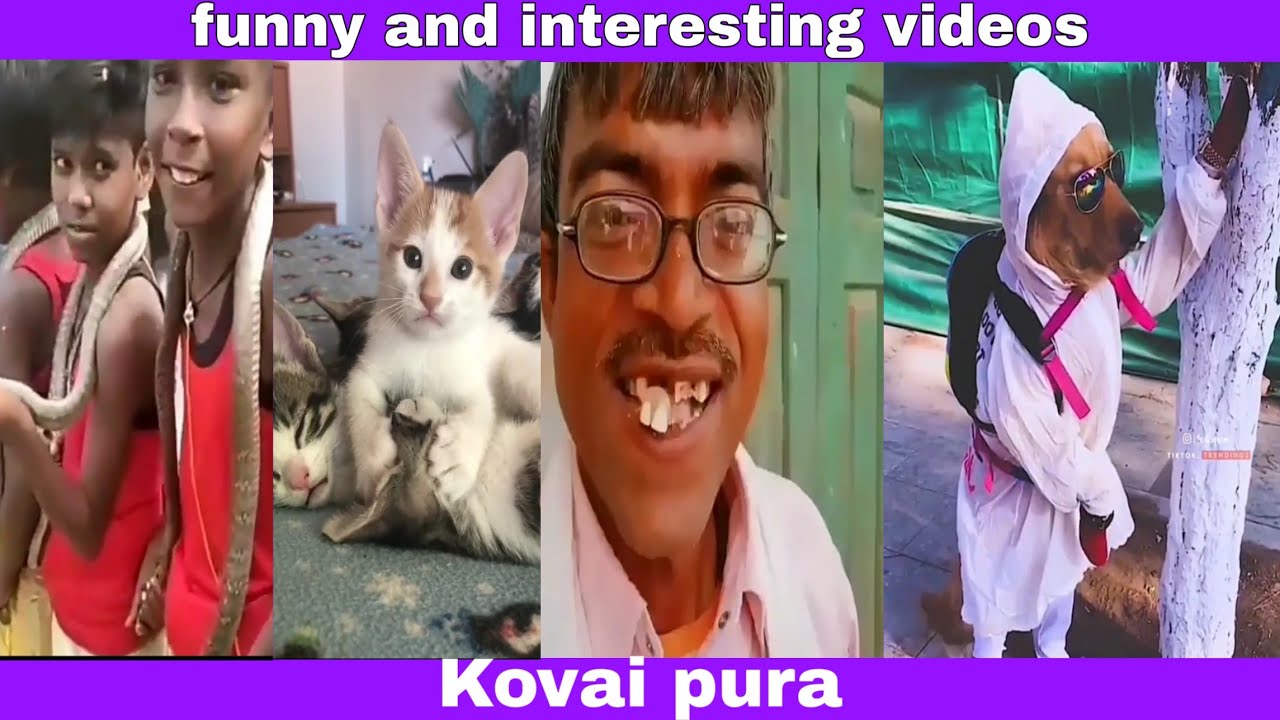 #003 funny and interesting videos - YouTube