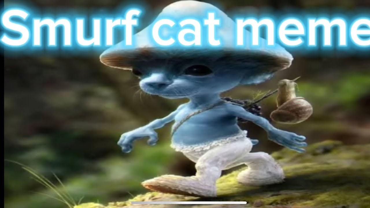 Smurf cat meme credits to Ohiocitizen #viral #smurfcat - YouTube