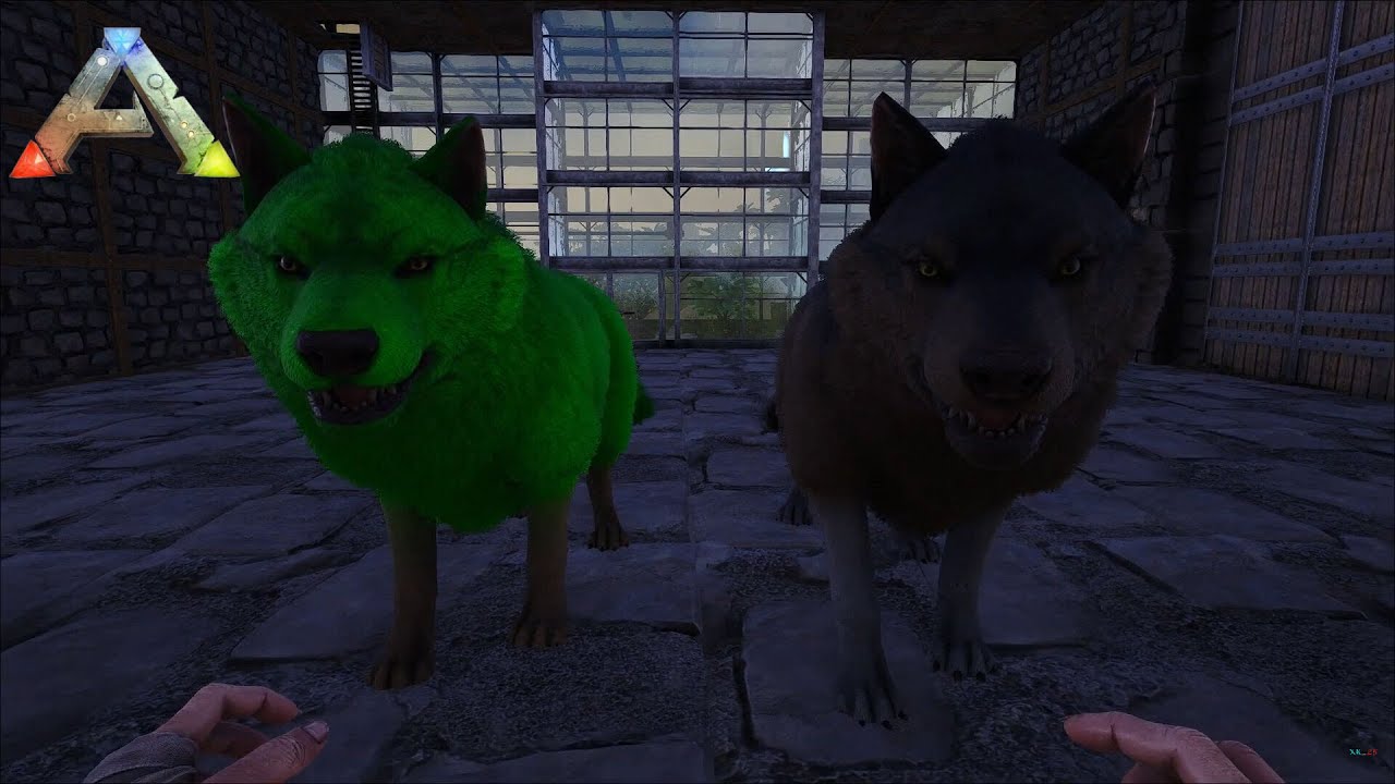 Taming a wolf pack | ARK: Survival Evolved - Ragnarok - YouTube