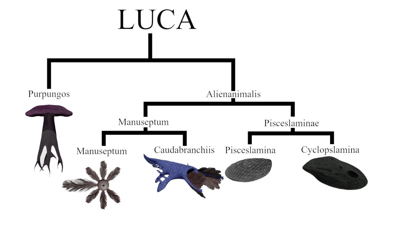 Life Around A Red Dwarf S1E1 - Emergence On Nusku - YouTube
