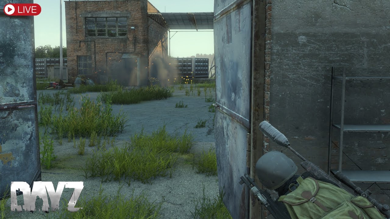 DayZ | Cherno🌲 - YouTube