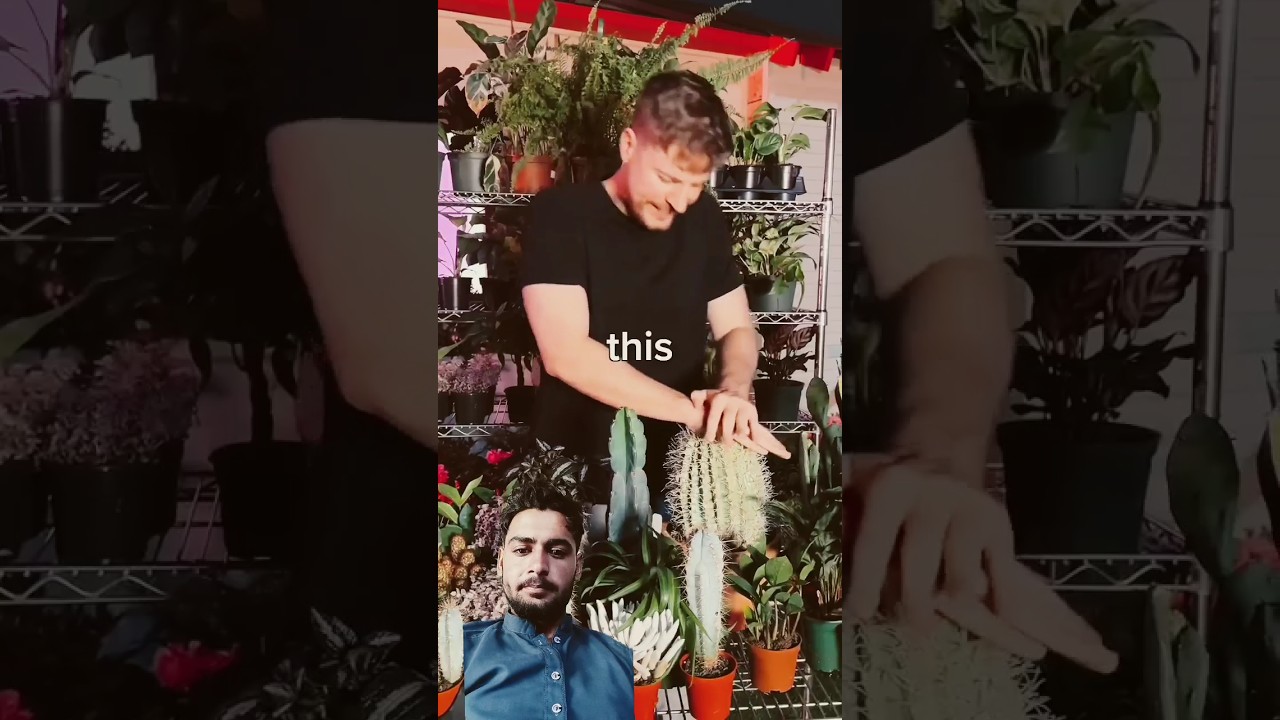 mr beast experiment - YouTube