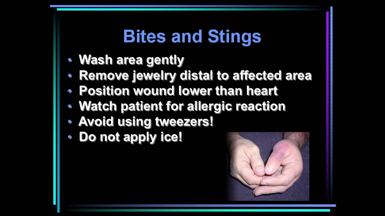 RAP First Aid October 2016 - YouTube