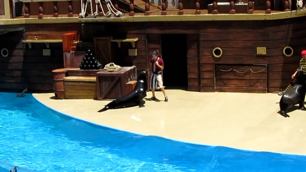 Clyde And Seamore Take Pirate Island Youtube