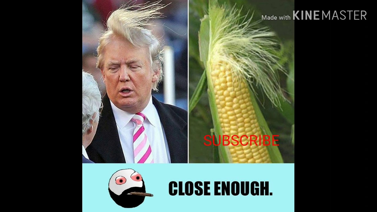 FUNNY MEMES COMPILATION | CRINGE PARODY - YouTube