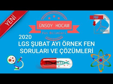 Şubat  Ayı Örnek Soru Çözümleri. 1 .Dönem Fenbilimleri'nden Soru Tespiti ve Çözüm  Yöntemleri.