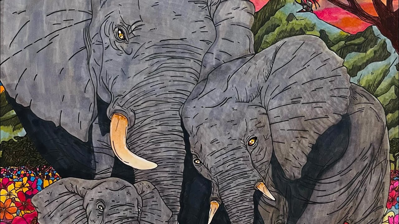 🐘 Elephant Drawing.Safari.Original.18x24.Copic Marker/Posca - YouTube