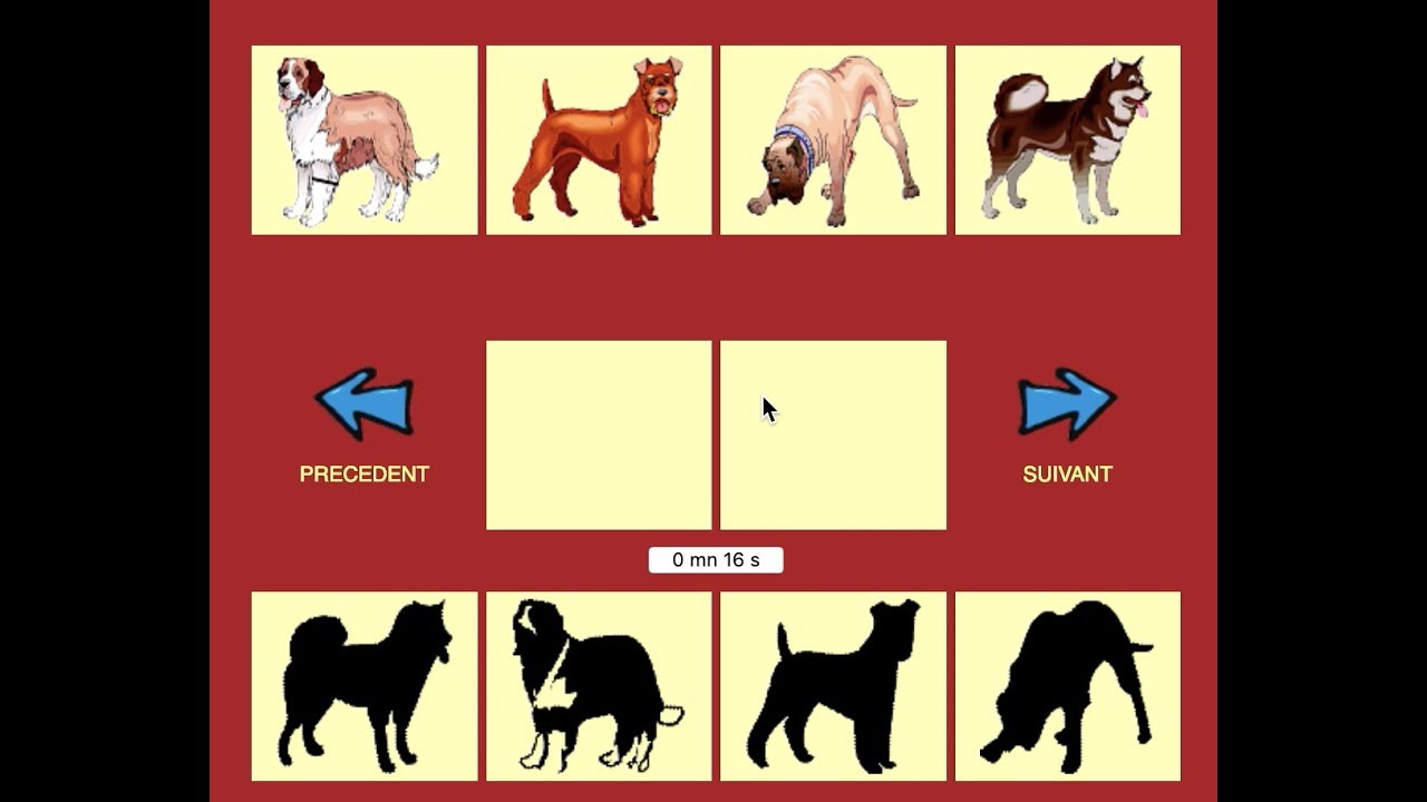 observation games for kids - shadow game dogs - YouTube