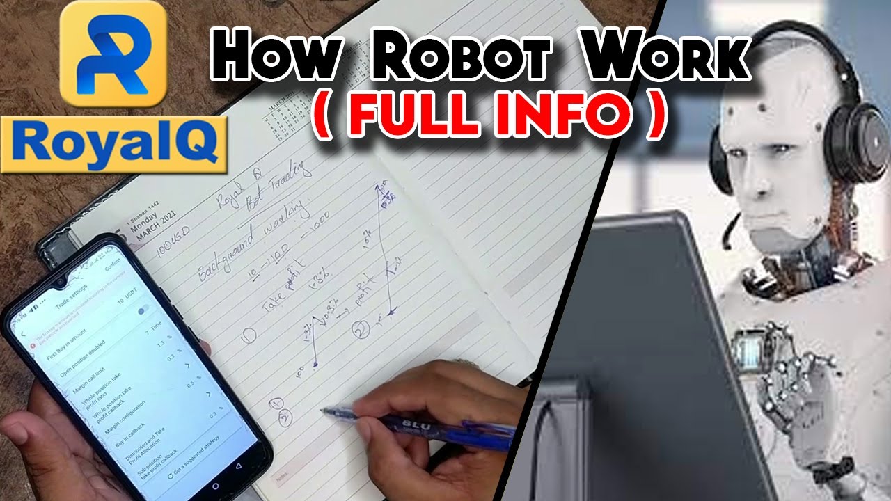 Royal q Bot Working | How royal q Bot works || Royal q | Royalq bot ...
