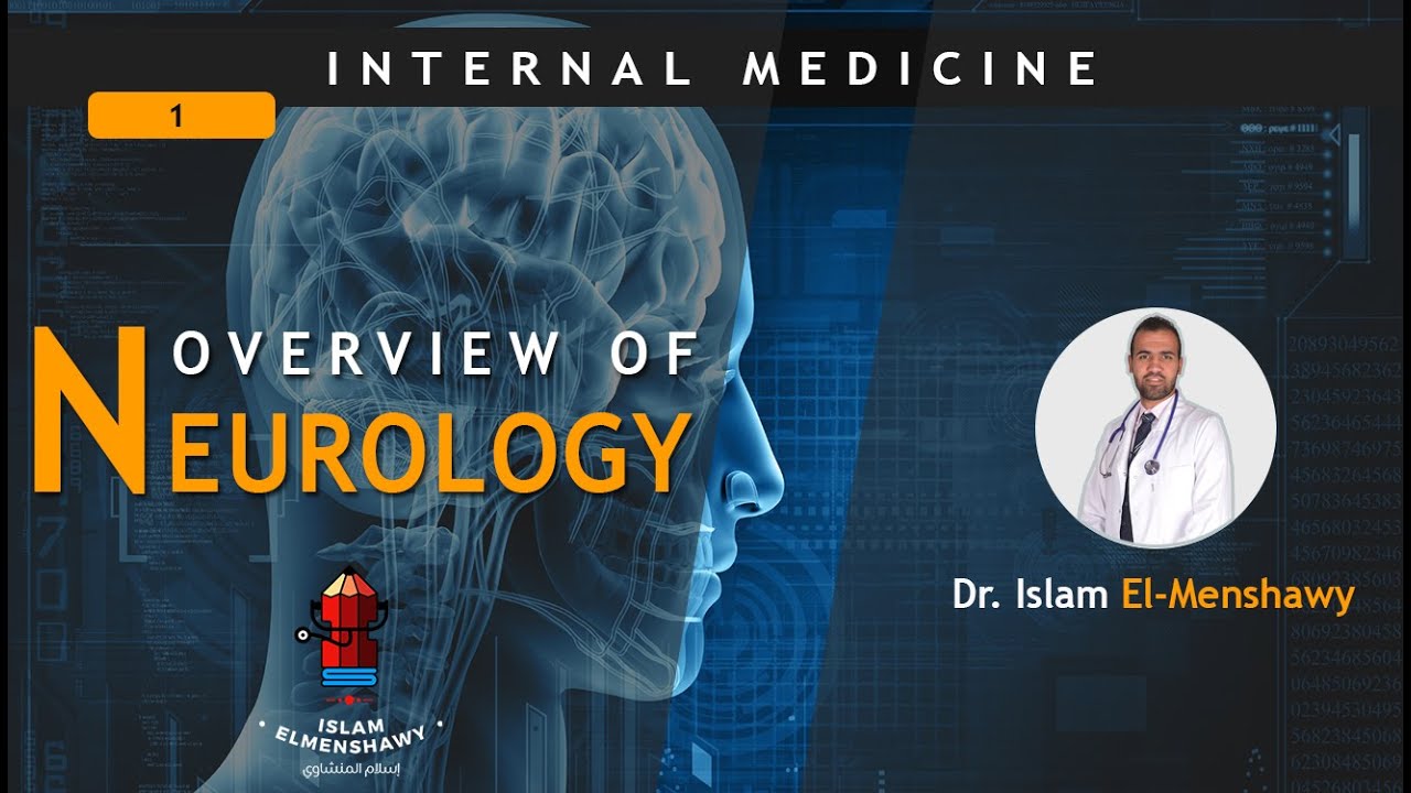 Overview Of Neurology YouTube