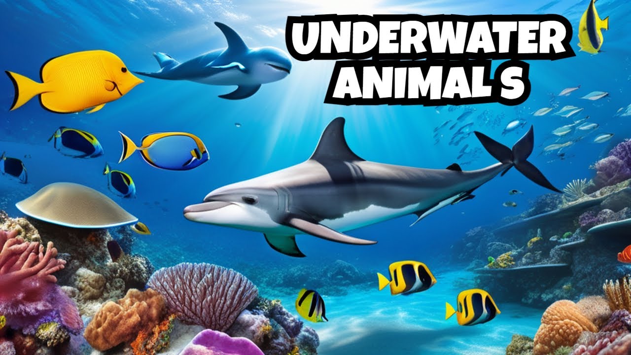 OCEAN ANIMALS for everybody in English | Types of Under Water Animals ...