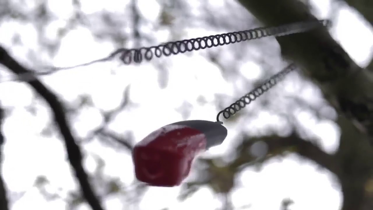 Rashaad Ali ft Lorenz - Phoneline (snippet) - YouTube