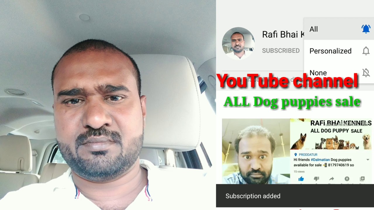 Hifriends #Rafi_Bhai_kennels YouTube channel all Dog puppies sale 📲 ...