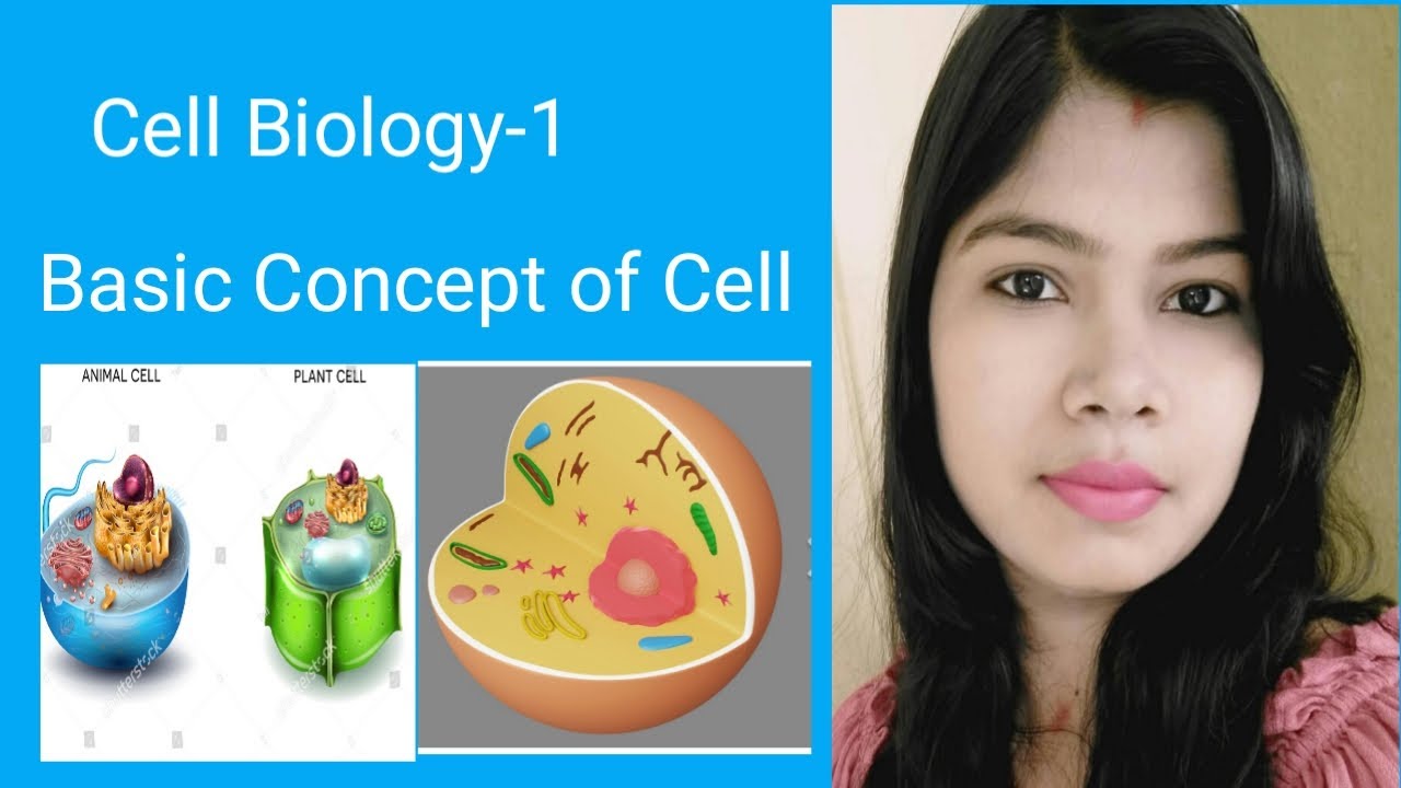 Cell Biology- The Basic Concept of Cell - YouTube