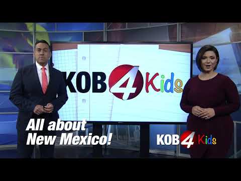 KOB 4 Kids: Explainer for Kids - YouTube