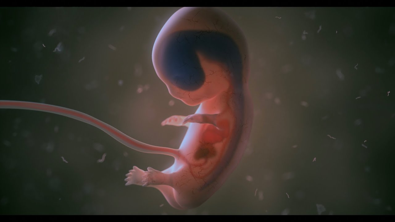 Return to Source Episode 2 - חזרה למקור פרק 2 - YouTube