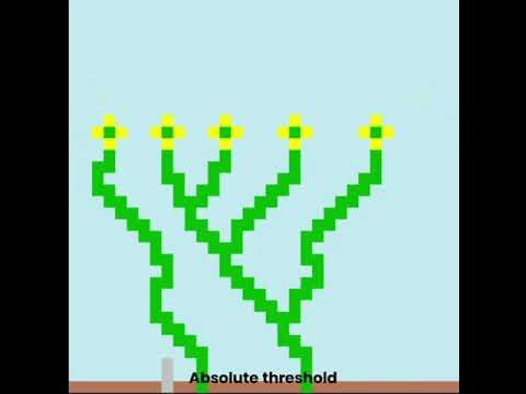 Playing With The Wave Function Collapse Algorithm - YouTube