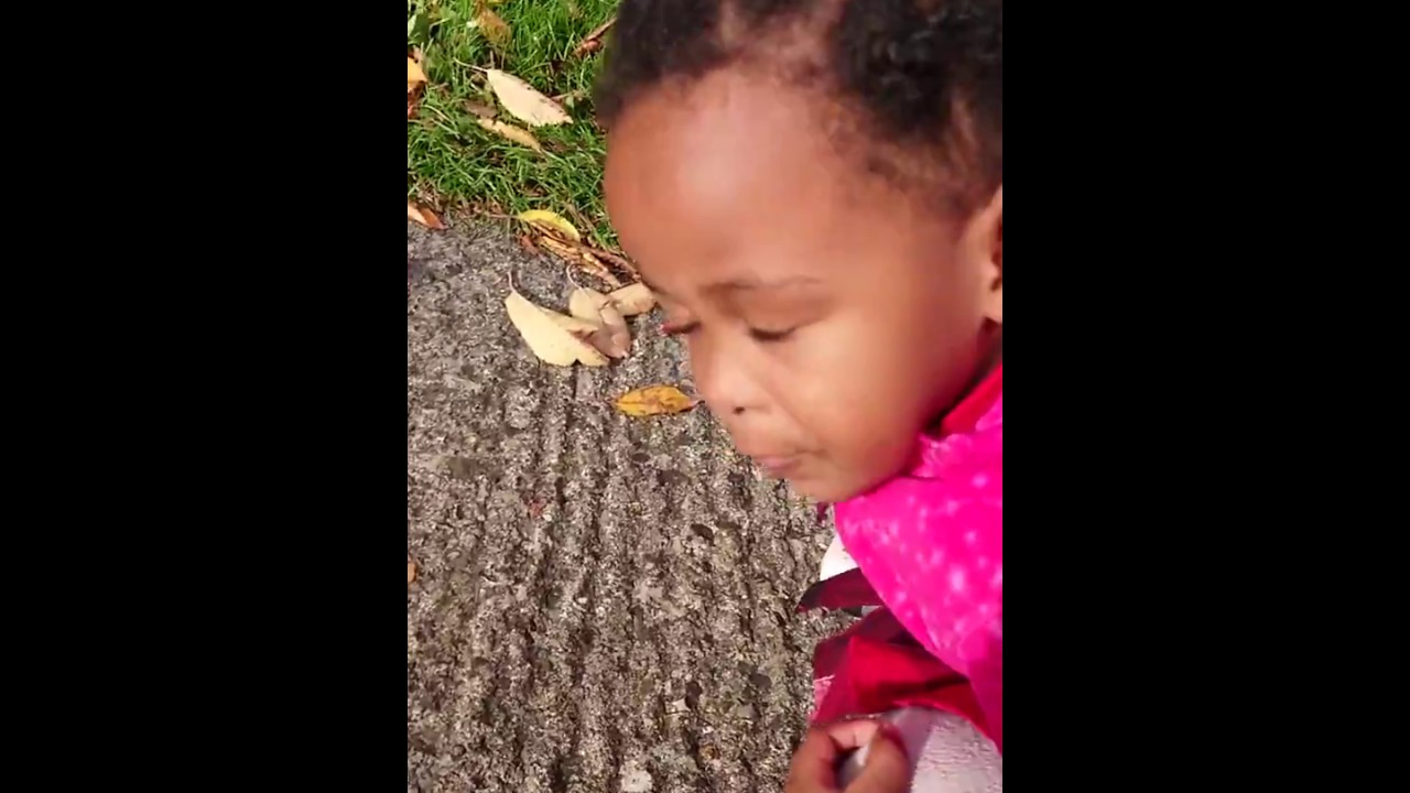 Talking to the worm. talking - to-the-worm - YouTube