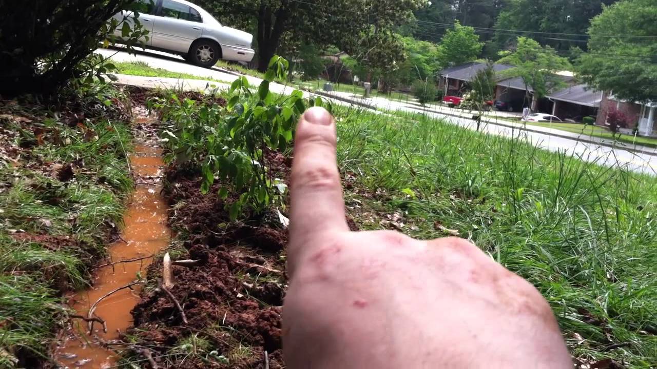 Permaculture Project: Digging a Swale Part 5 - YouTube