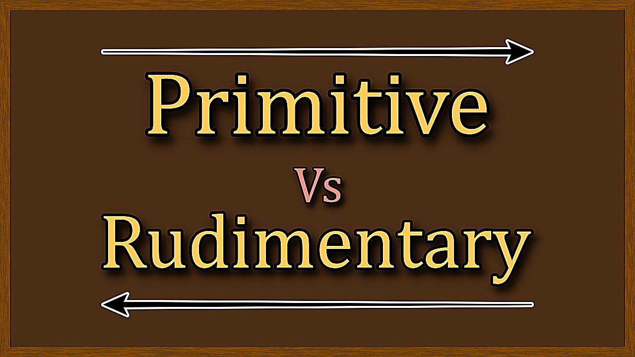 Primitive vs Rudimentary - YouTube